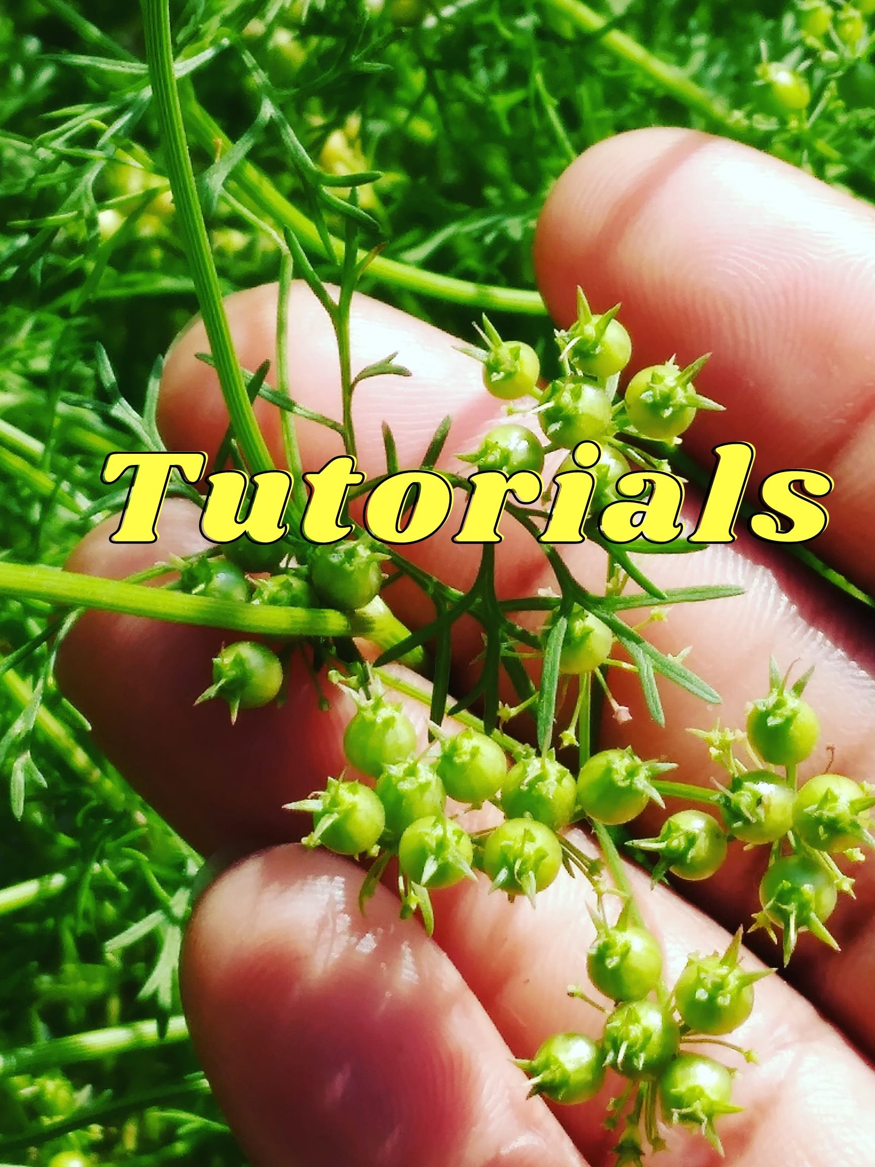 Karla's Garden – Growing a sustainable life